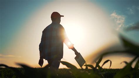 Bayer Crop Science Linkedin‘de Plantbreeding Aginnovation
