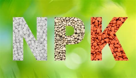 13 Best Npk Fertilizer For 2024 Storables