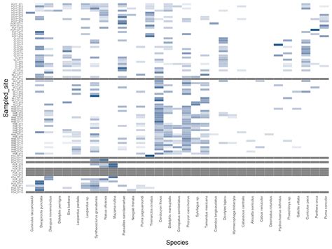 Species Diversity Camera Trap Blog