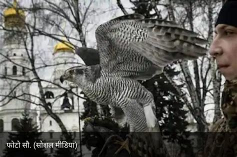 के तपाईलाई थाहा छ चील र उल्लूले यस देशका राष्ट्रपतिलाई सुरक्षा दिन्छ