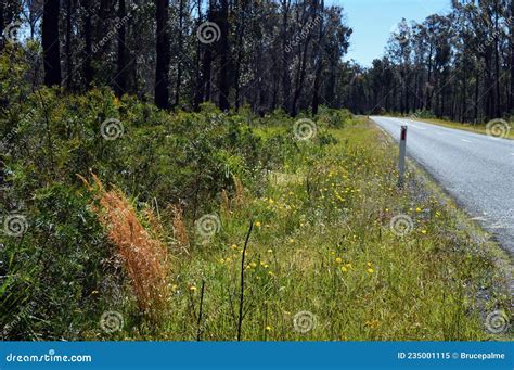 The Waterfall Way Nsw Stock Image Image Of National 235001115