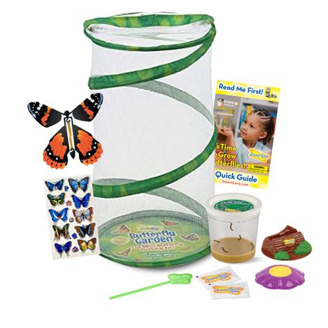 Insect Lore Butterfly Pavilion Deluxe School Kit With 33 44 Off