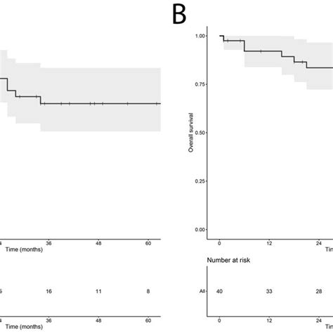 Kaplanmeier Estimate Reflecting The Disease Free Survival Dfs A