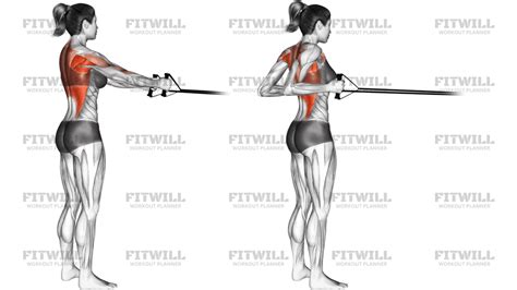 Band Seated Row Exercise Guide Video Techniques Benefits How To