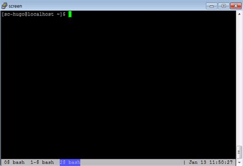 Linuxs Screen教學linux終端機有多個分頁