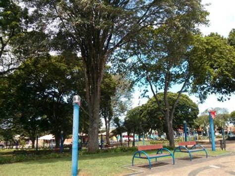 G1 Cerquilho é A 4ª Cidade Do Estado Nos Cuidados Com O Meio Ambiente