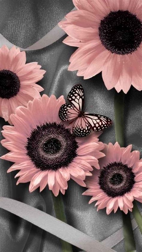 صور وخلفيات واتساب Hd فخمة وجديدة لعام 2025