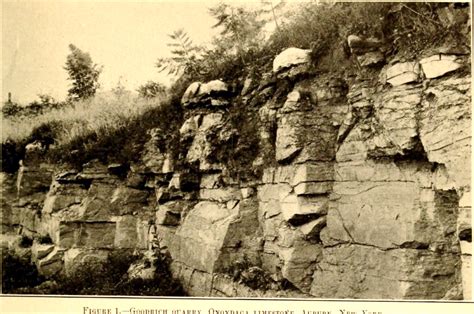 Stratigraphy Sedimentology And Palaeontology The Digitalization Of