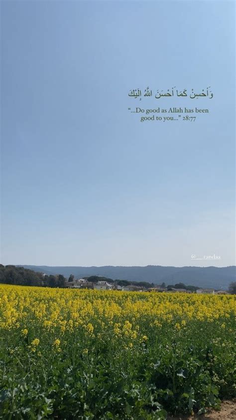 Quran 2877 In 2024 Quran Quotes Inspirational Best Quran Quotes Beautiful Quran Quotes