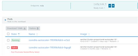 Pod Predicate Nodeaffinity Failed Error Seen On Default Backend