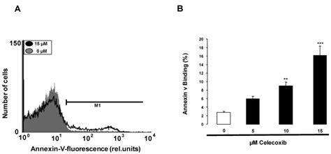 Effect Of Celecoxib On Phosphatidylserine Exposure And Hemolysis A