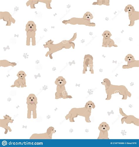 Cockapoo Mix Breed Seamless Pattern Different Poses Coat Colors Sett