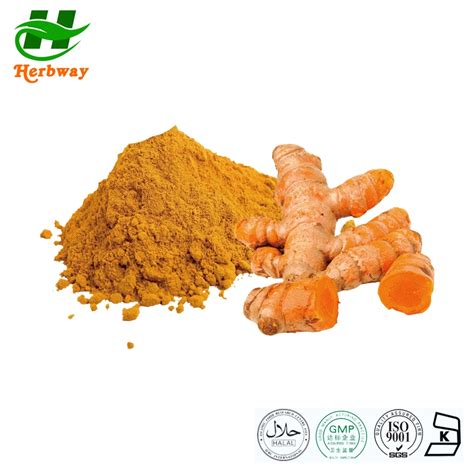 Herbway Kosher Halal Fssc HACCP Certified Plant Extract Curcumin