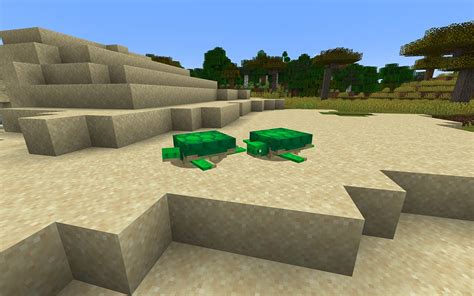 How To Breed Turtles In Minecraft A Guide To Expanding Your Shelled