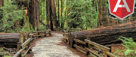 A Tour Of Angular For Web Developers Dev Community