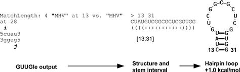 Knotseeker Heuristic Pseudoknot Detection In Long Rna Sequences