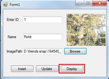 Handling Binary Large Objects In A Database In C Mindstick