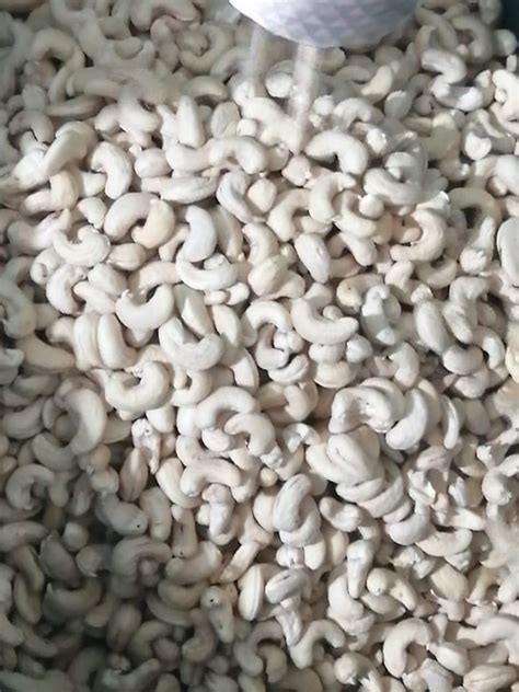 කජු මද නිෂ්පාදකයෝ