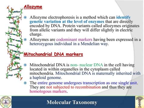 Molecular Taxonomy Pptx