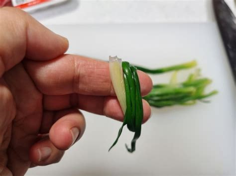 남은 쪽파처리쪽파강회