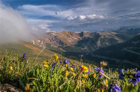 Loveland Pass Summer Photograph By Michael J Bauer Photography Pixels