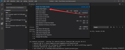 Windows上VSCode+Flutter、Dart安装配置（详细版+安装问题处理）_dart安装与服务器的连接被重置-CSDN博客