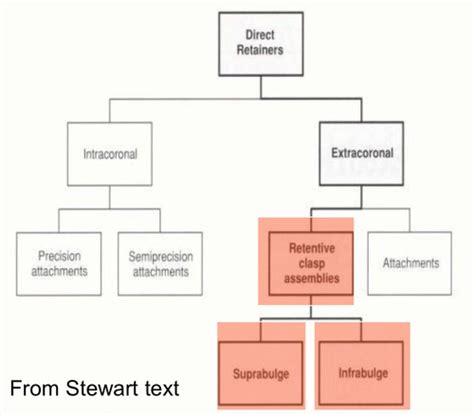 Lecture 5 Components Retainers Flashcards Quizlet