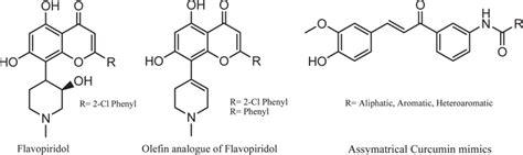 Flavopiridol And Curcumin Mimics Download Scientific Diagram