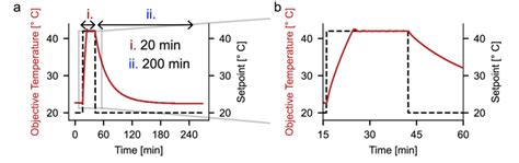 A Heating Phase Stabilized Temperature And Cooling Phase During An