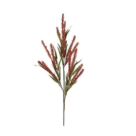 32l Mini Beadedspikegrass Spray