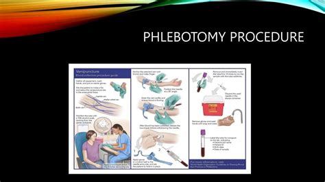 Assignment On Phlebotomy Biochemistry Pptx
