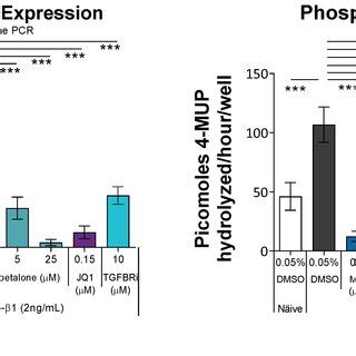 Apabetalone suppresses TGF β1 stimulated phosphatase expression