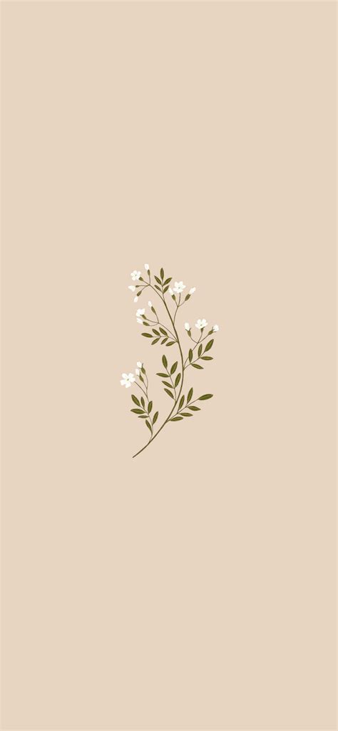 Download Beige Background