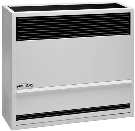 Williams 22000 Btu Gravity Direct Vent Wall Furnace 220382