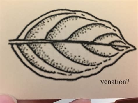 Lab Quiz Flashcards Quizlet