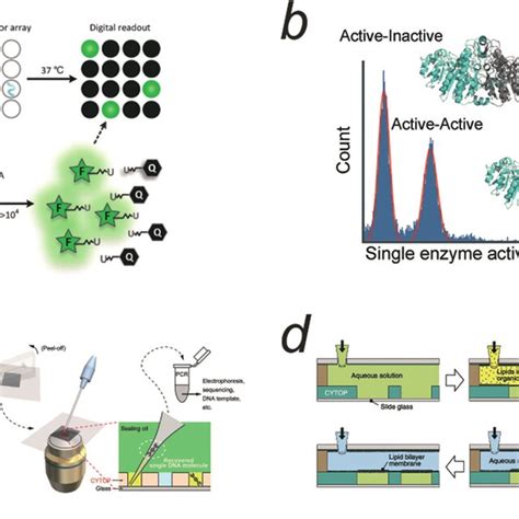 Applications Of Digital Bioassay A Digital Cas13 Assay For The
