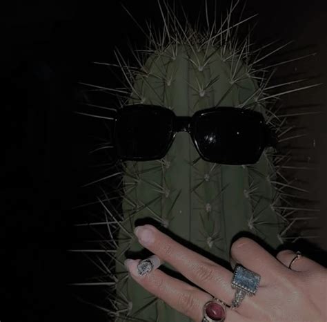 Aesthetic Spotify Playlist Covers ⋆ ₊ ⁺ ⋆ ₊ ⁺ ⋆ Baileyrb13 ♡ ⋆ ⁺ ₊ ⋆