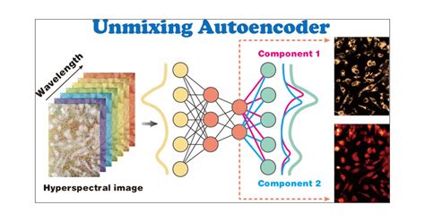 Unmixing Autoencoder For Image Reconstruction From Hyperspectral Data Analytical Chemistry
