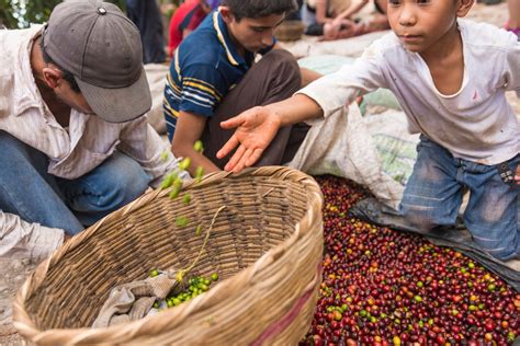Everything You Need To Know About The Uyghur Forced Labour Prevention