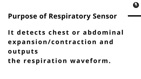 Respiratory Activity Sensor Pdf Lung And Respiratory Health Diseases And Conditions