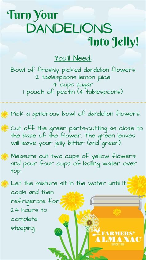 Dandelion Foraging Identification Look Alikes And Uses Artofit