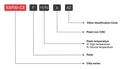 Esp C Nomenclature Renzo Mischianti