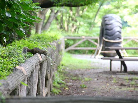 Shonan Garden