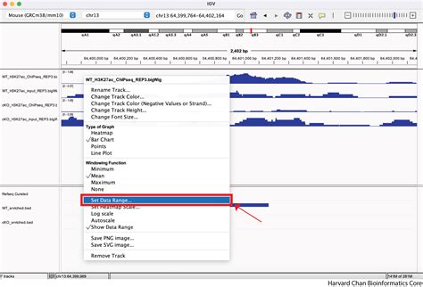 Peak Visualization Using A Genome Browser Peak Analysis