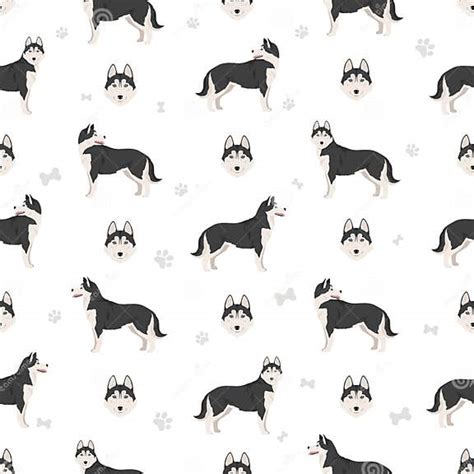 Siberian Husky Seamless Pattern All Coat Colors Set Stock Vector