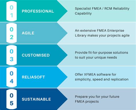 FMEA FMECA The Definitive Guide HolisticAM