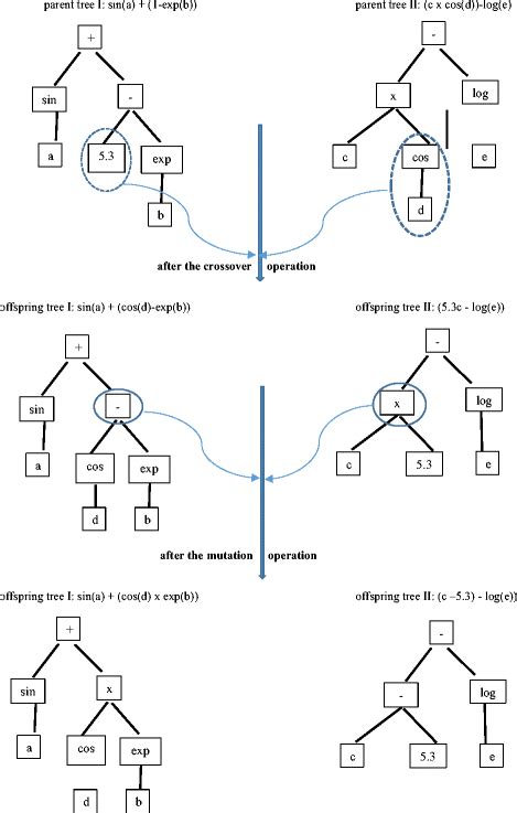Schematic Representation Of Gp Operators Of Crossover And Mutation