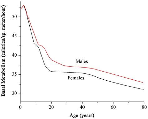 Normal Basal Metabolic Rates At Different Ages For Each Sex 12