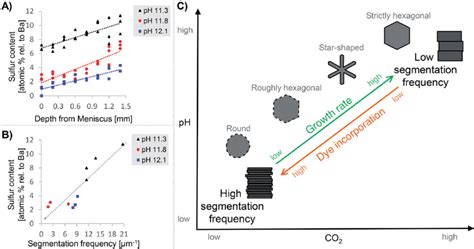 Effect Of Different Parameters On The Spatial Segmentation Frequency Download Scientific