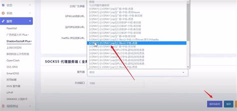 软路由（operwrt）通过shadowsocksr Plus 科学上网教程 爱远眺